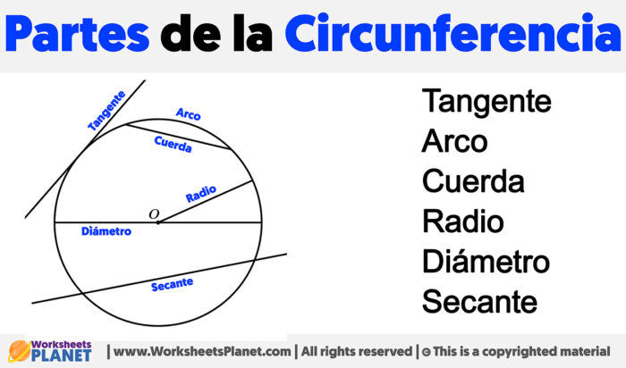 Partes de la Circunferencia