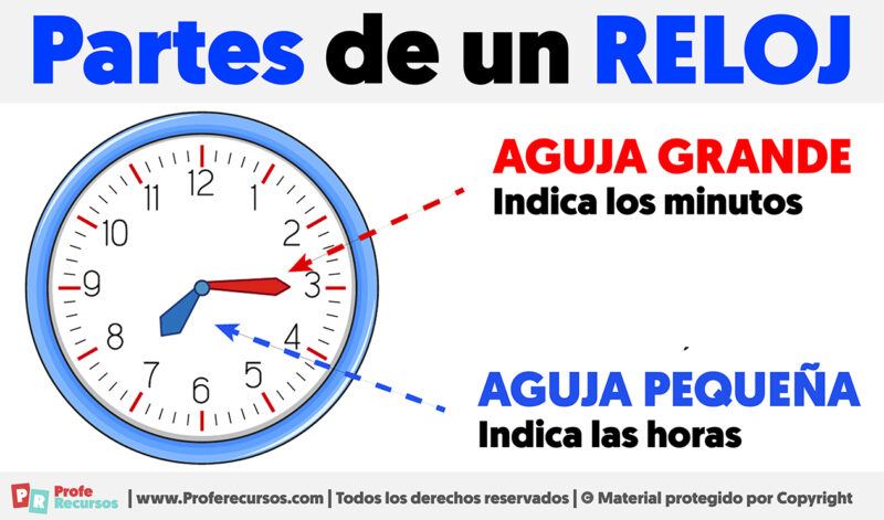 Partes de un Reloj para Niños