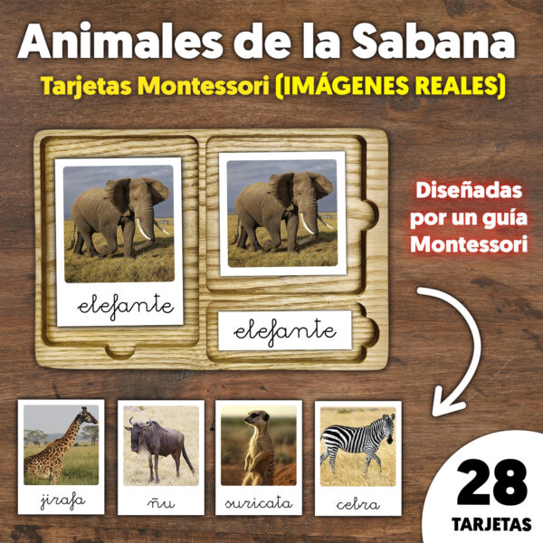 Animales de la Sabana | Tarjetas Montessori