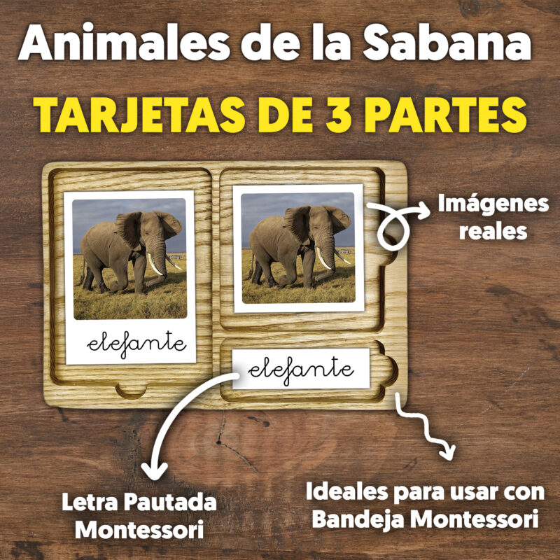Animales de la Sabana | Tarjetas Montessori