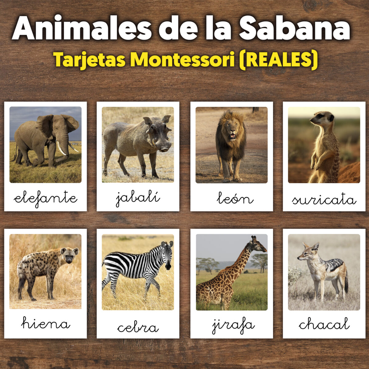 Animales de la Sabana | Tarjetas Montessori