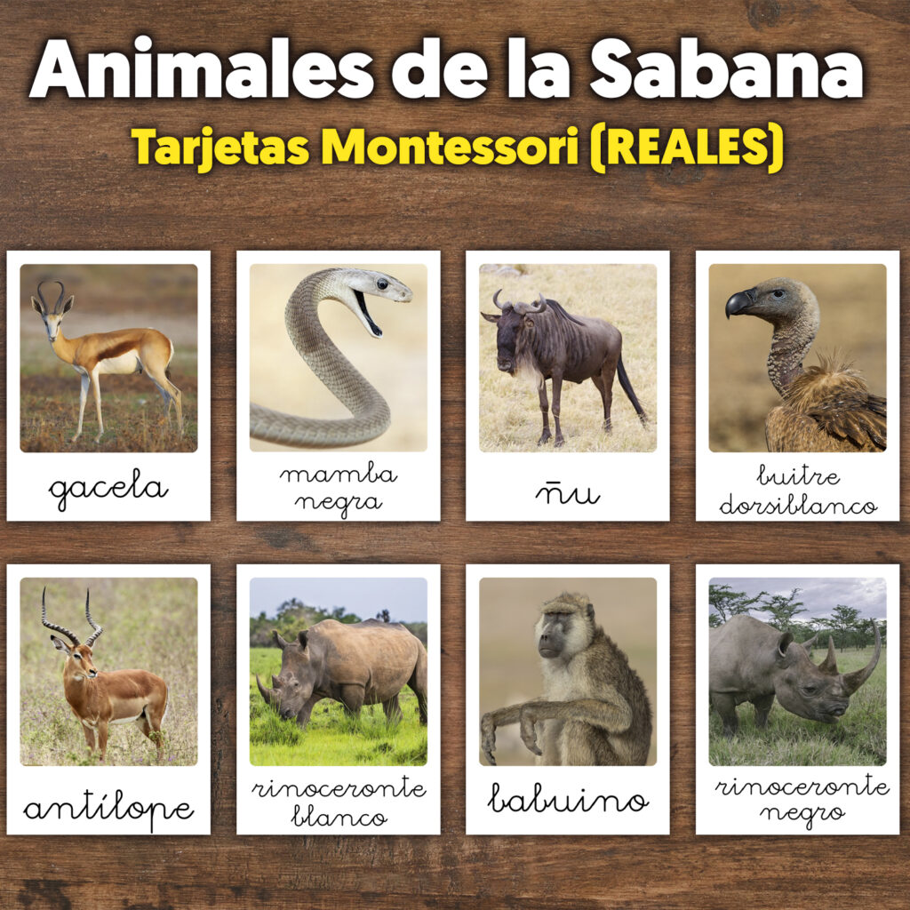 Animales de la Sabana | Tarjetas Montessori