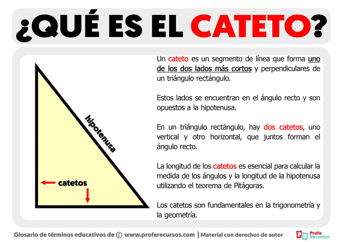 Qué es el Cateto | Definición de Cateto
