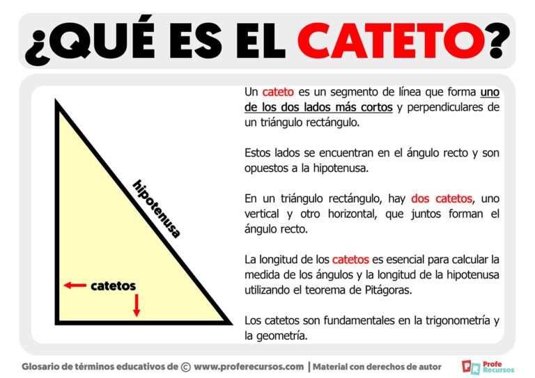 Qué es el Cateto | Definición de Cateto