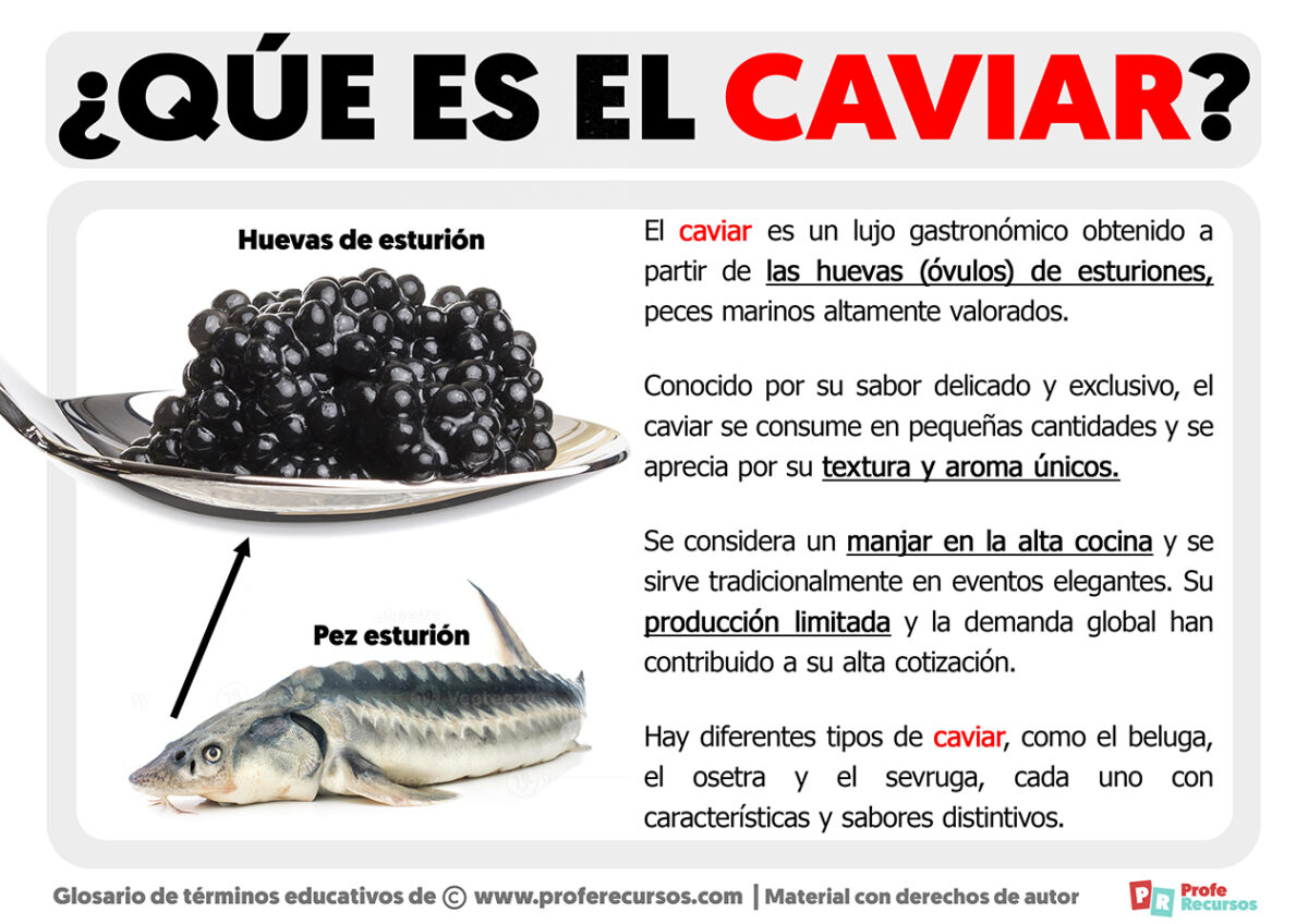 Qué es el Caviar | Definición de Caviar