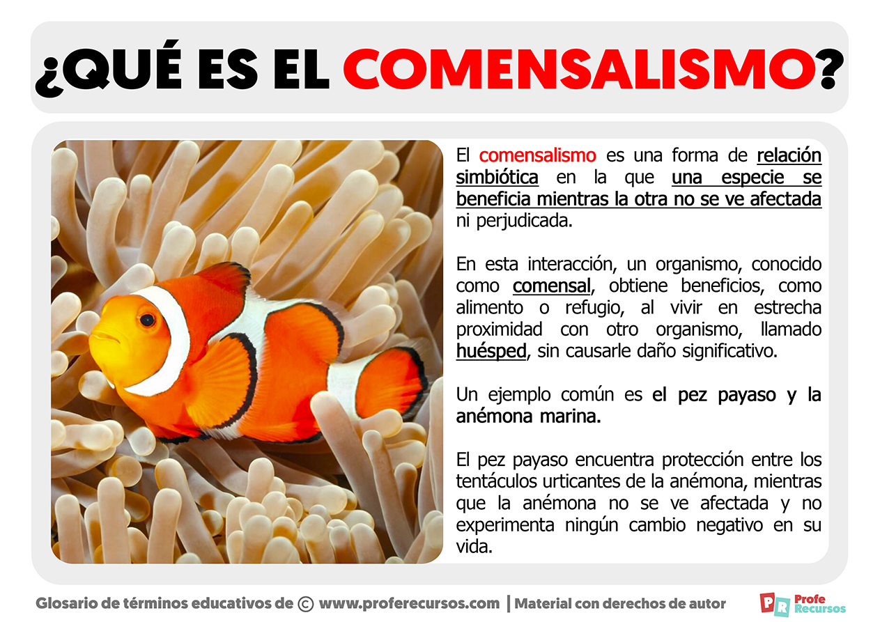 Qu Es El Comensalismo Definici n De Comensalismo Qu Es El Comensalismo Definici n De Comensalismo