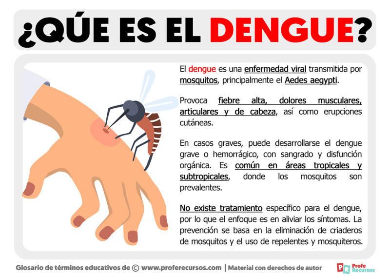 Qué es el Dengue | Definición de Dengue