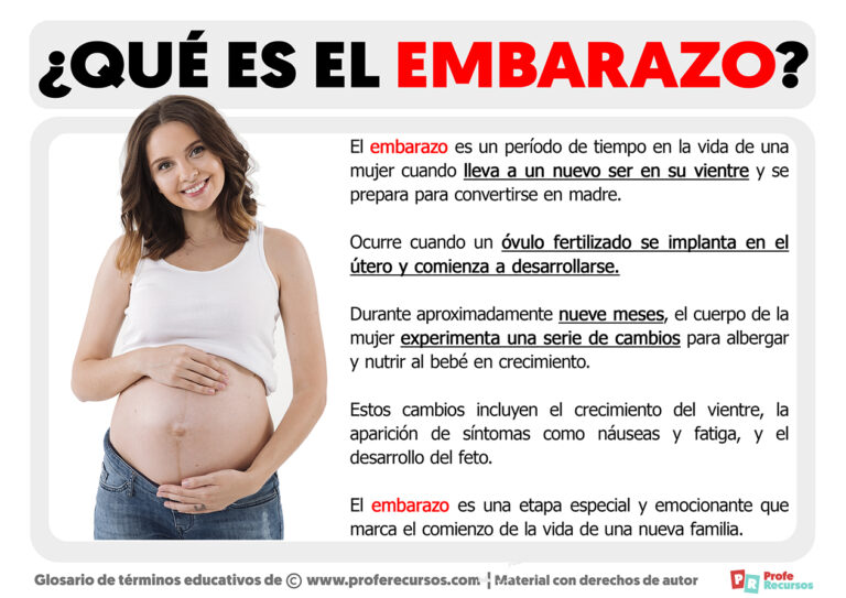 Qué es el Embarazo | Definición de Embarazo