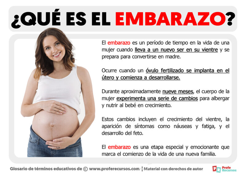 Qué es el Embarazo | Definición de Embarazo