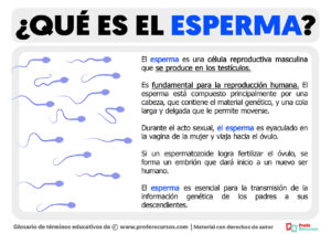 ¿Qué es el Esperma?