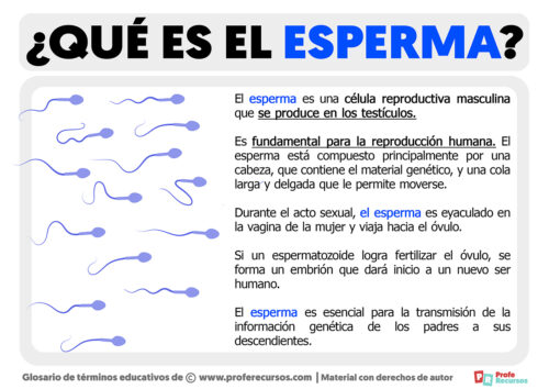 ¿Qué es el Esperma?