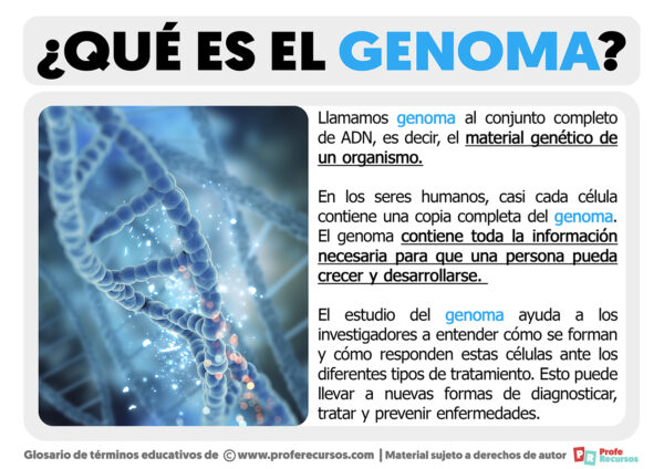 Qué es el Genoma | Definición de Genoma