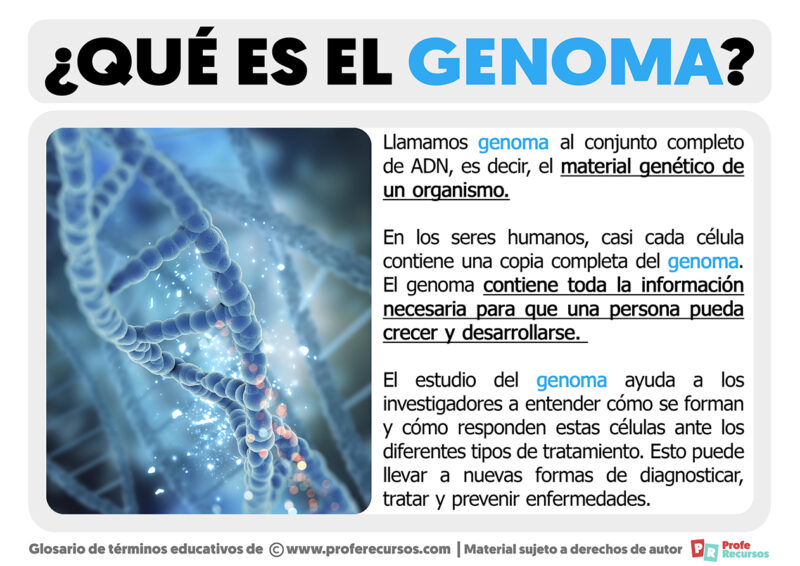 Qué es el Genoma | Definición de Genoma