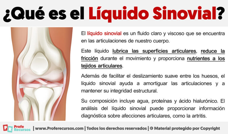 ¿Qué es el Líquido Sinovial?