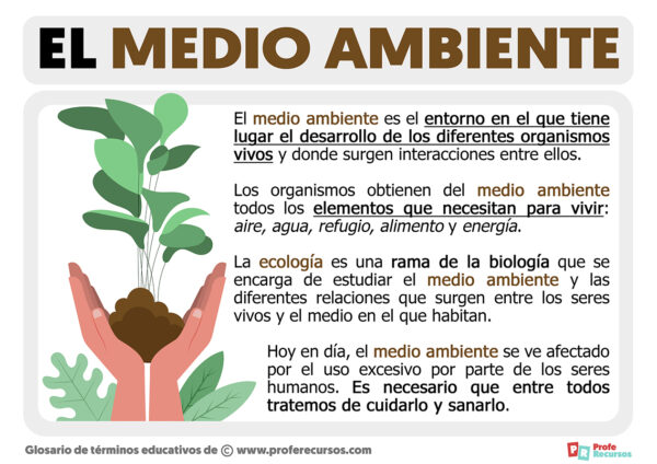 ¿Qué es el Medio Ambiente?