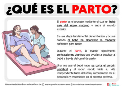 Qué es el Parto | Definición de Parto