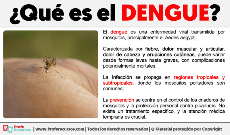 Qué es el Dengue | Definición de Dengue