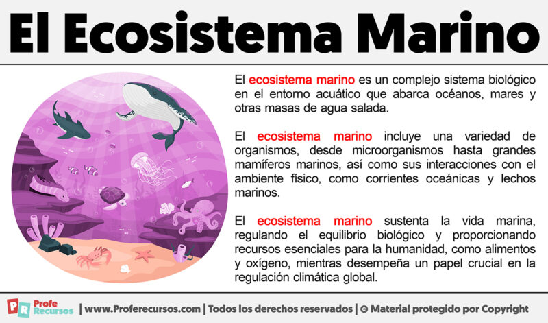 Qué es el Ecosistema Marino