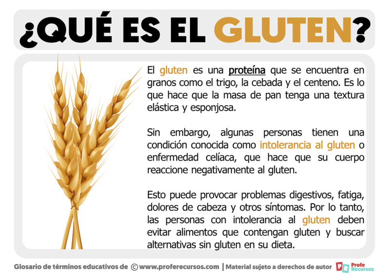 Qué es el Gluten | Definición de Gluten Qué es el Gluten | Definición de Gluten