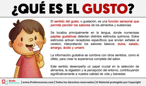 Qué es El Gusto | Sentido del Gusto