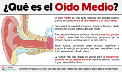 Qué es el Oído Medio