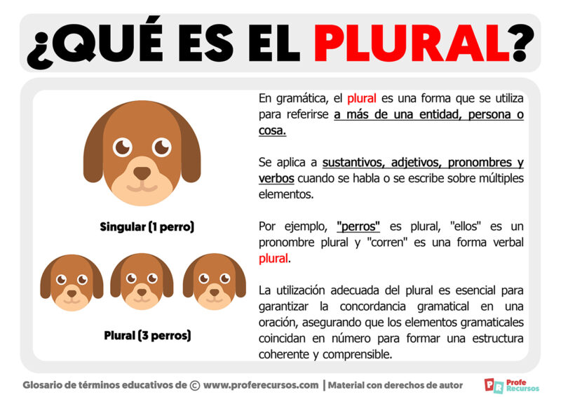Qué es el Plural | Definición de Plural