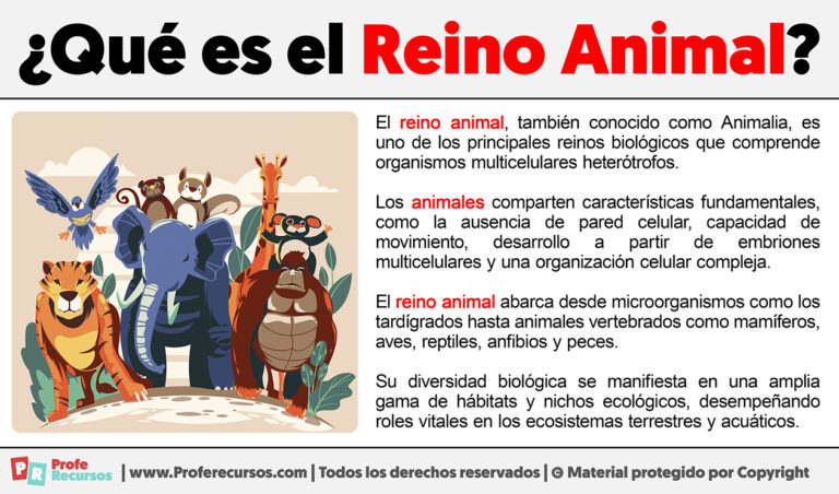 Qué es el Reino Animal