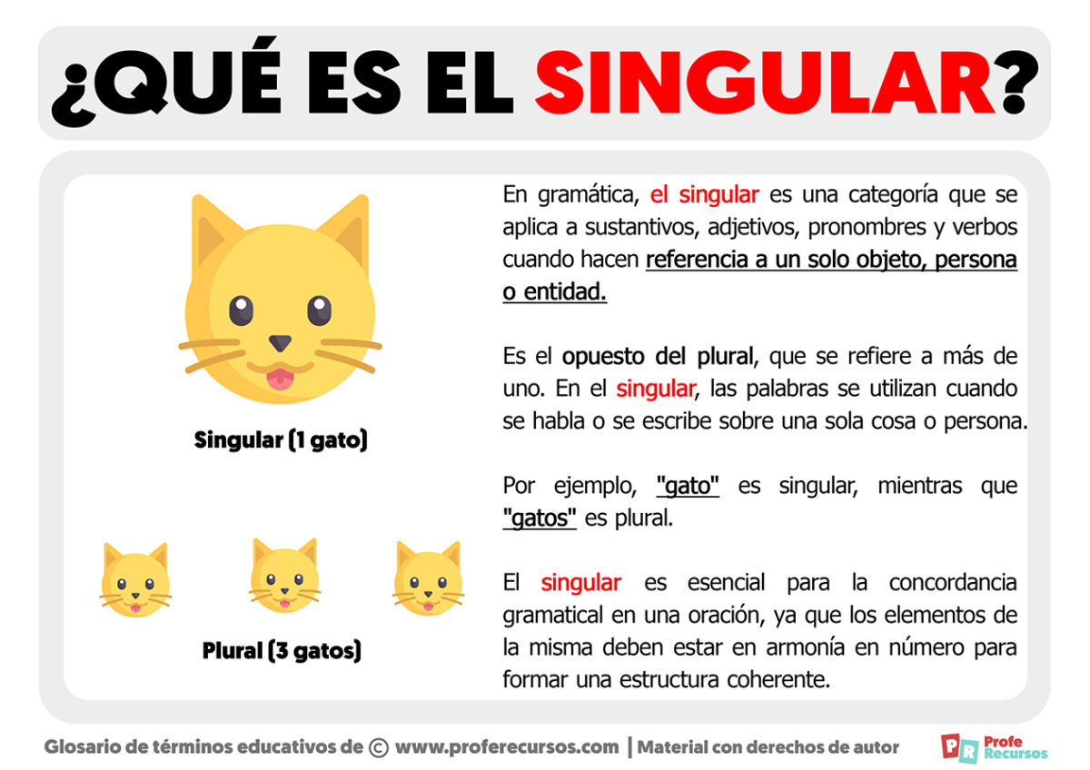 Qué es el Singular | Definición de Singular