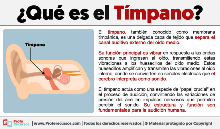 Qué es el Tímpano | Definición de Tímpano