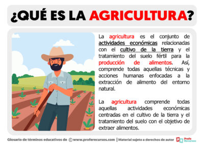 ¿Qué es la Agricultura?