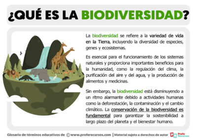 ¿Qué es la Biodiversidad?