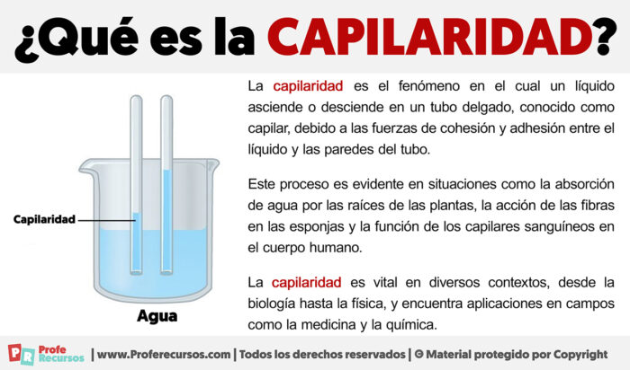 Qué es la Capilaridad | Definición de Capilaridad