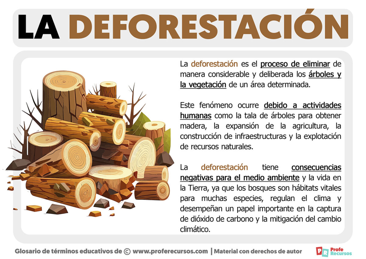 Qué es la Deforestación | Definición de Deforestación