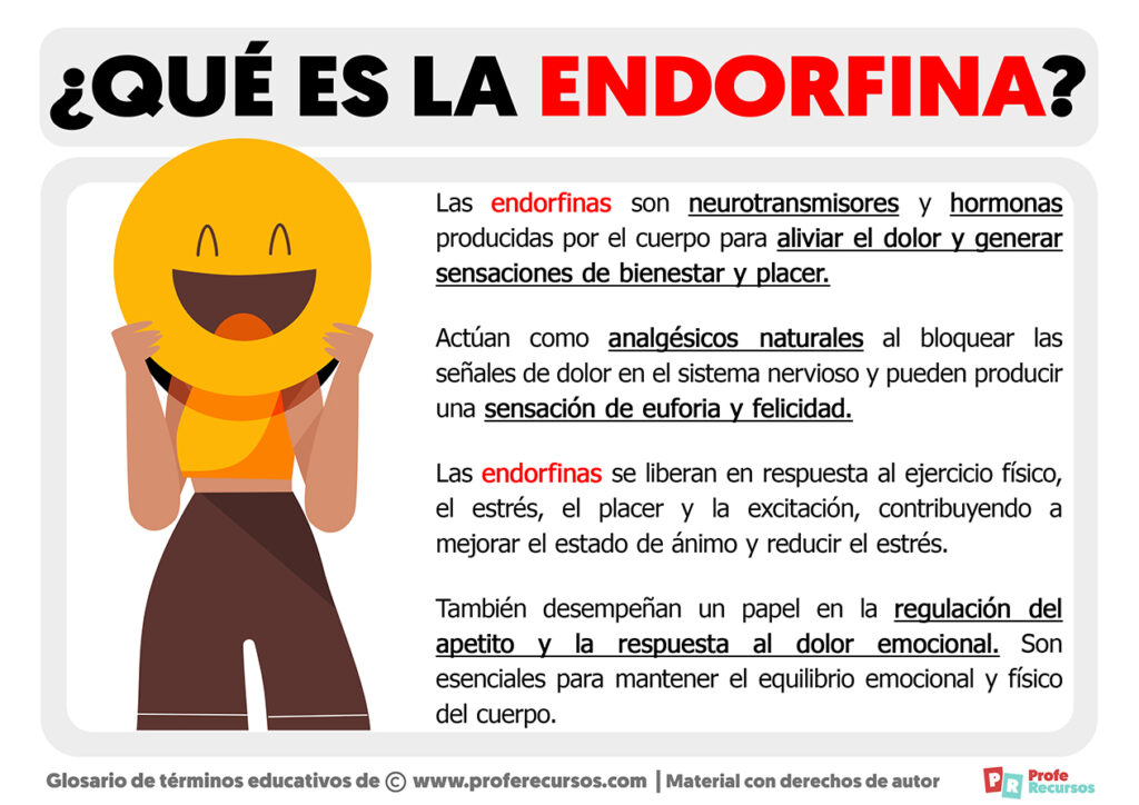 Qué son las Endorfinas | Definición de Endorfina