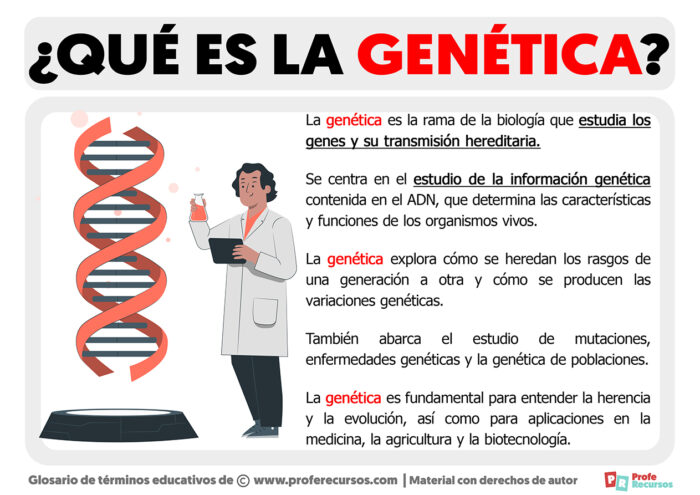 Qué es la Genética | Definición de Genética Qué es la Genética | Definición de Genética