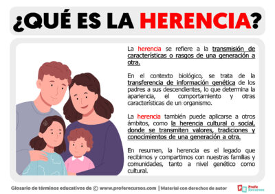 Qué es la Herencia | Definición de Herencia