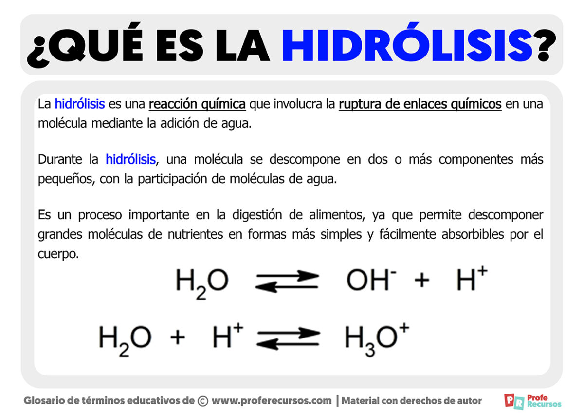 Qué es la Hidrólisis | Definición de Hidrólisis