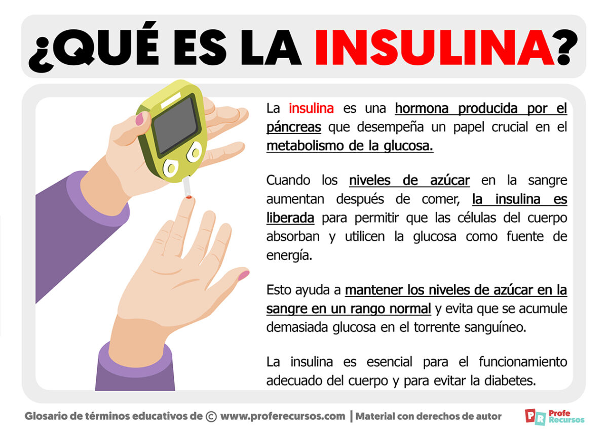 Qué es la Insulina | Definición de Insulina Qué es la Insulina | Definición de Insulina
