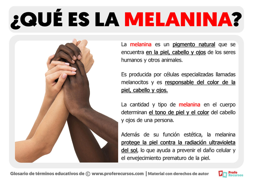 Qué es la Melanina | Definición de Melanina