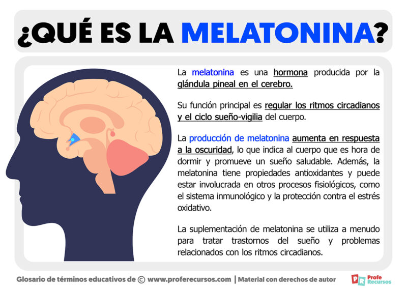 Qué es la Melatonina | Definición de Melatonina