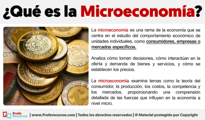 ¿Qué es la Microeconomía?