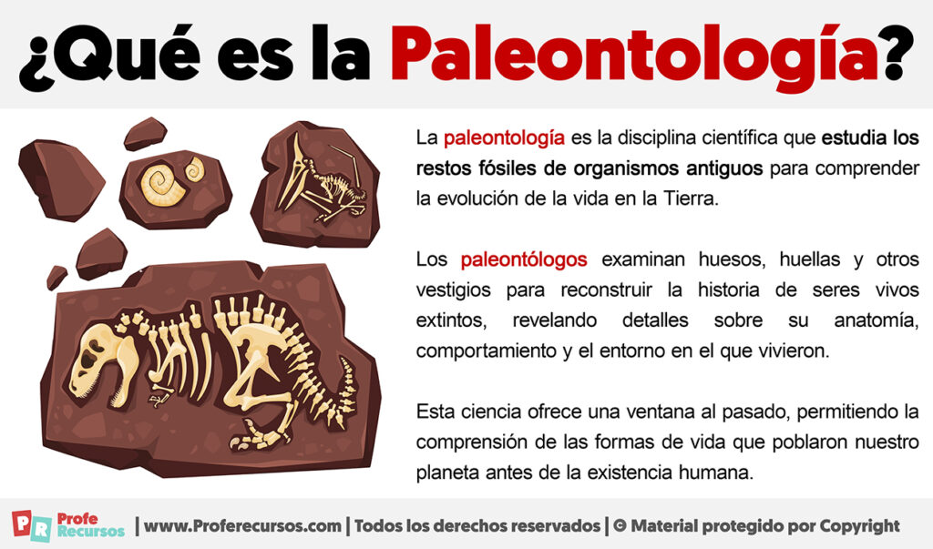 Dinosaurios Y La Paleontología, Contado Para Niños – MUCMV