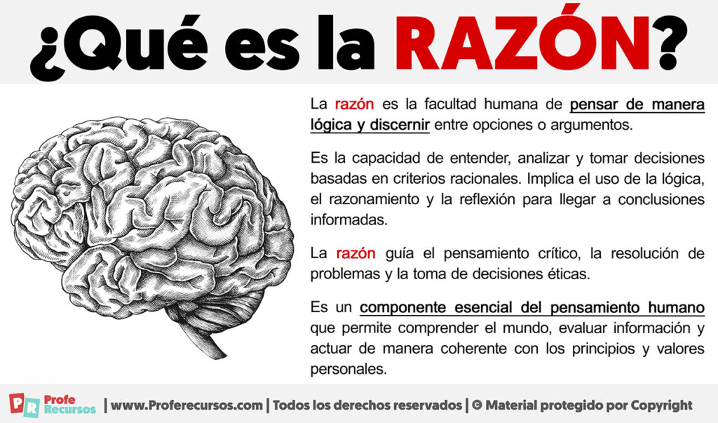 Qué es la Razón | Definición de Razón