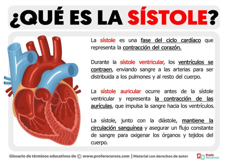 Qué es la Sístole | Definición Sístole Corazón