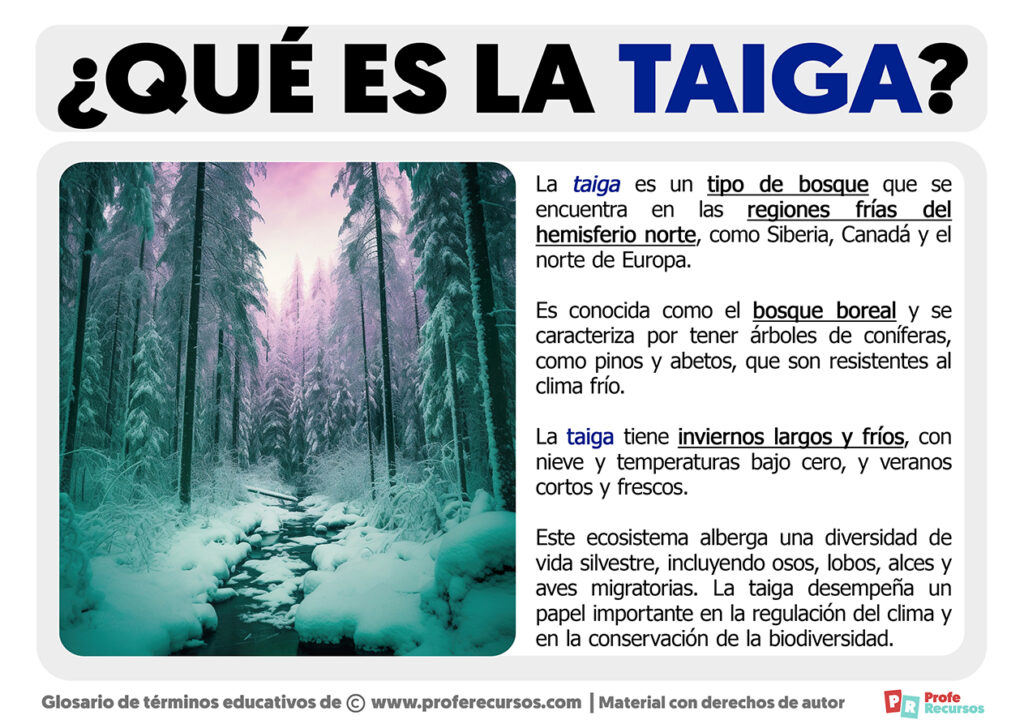 Qué es la Taiga | Definición de Taiga