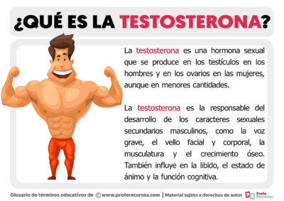 Qué es la Testosterona | Definición de Testosterona