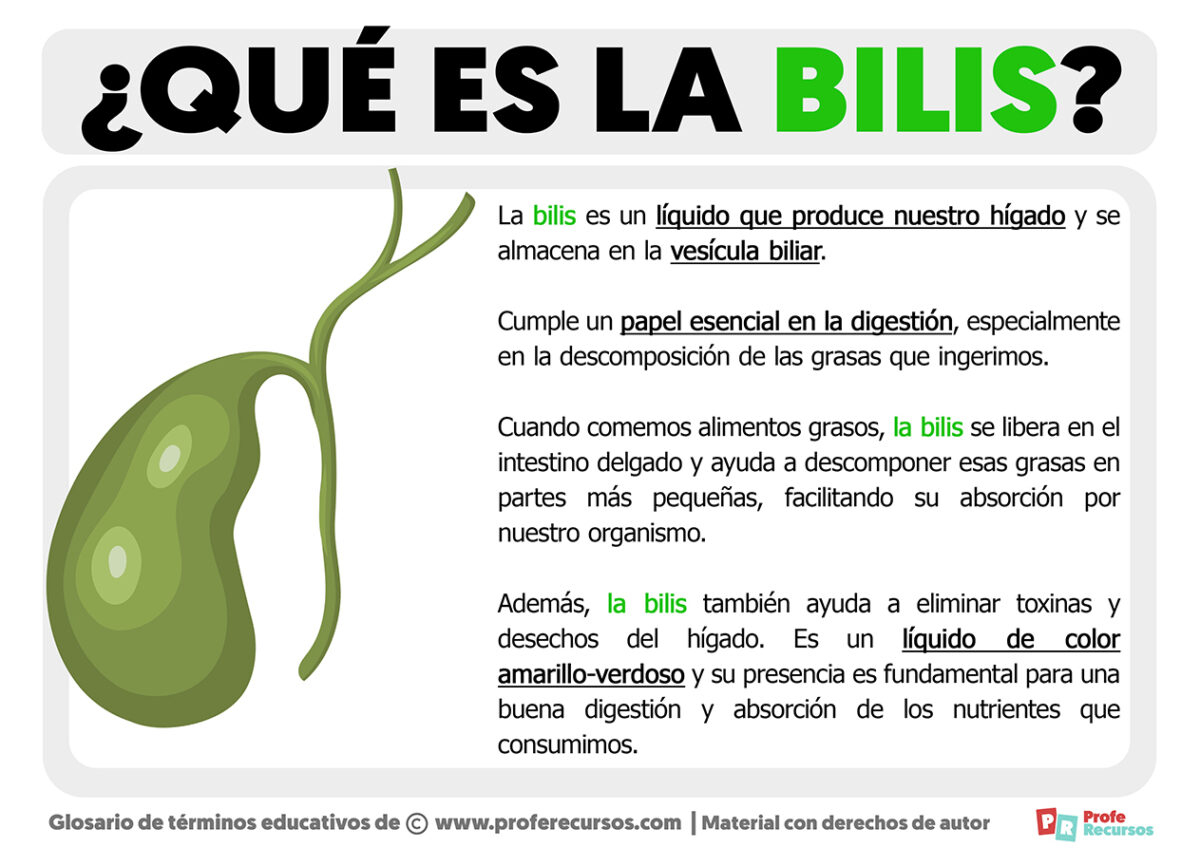 Qué es la Bilis | Definición de Bilis