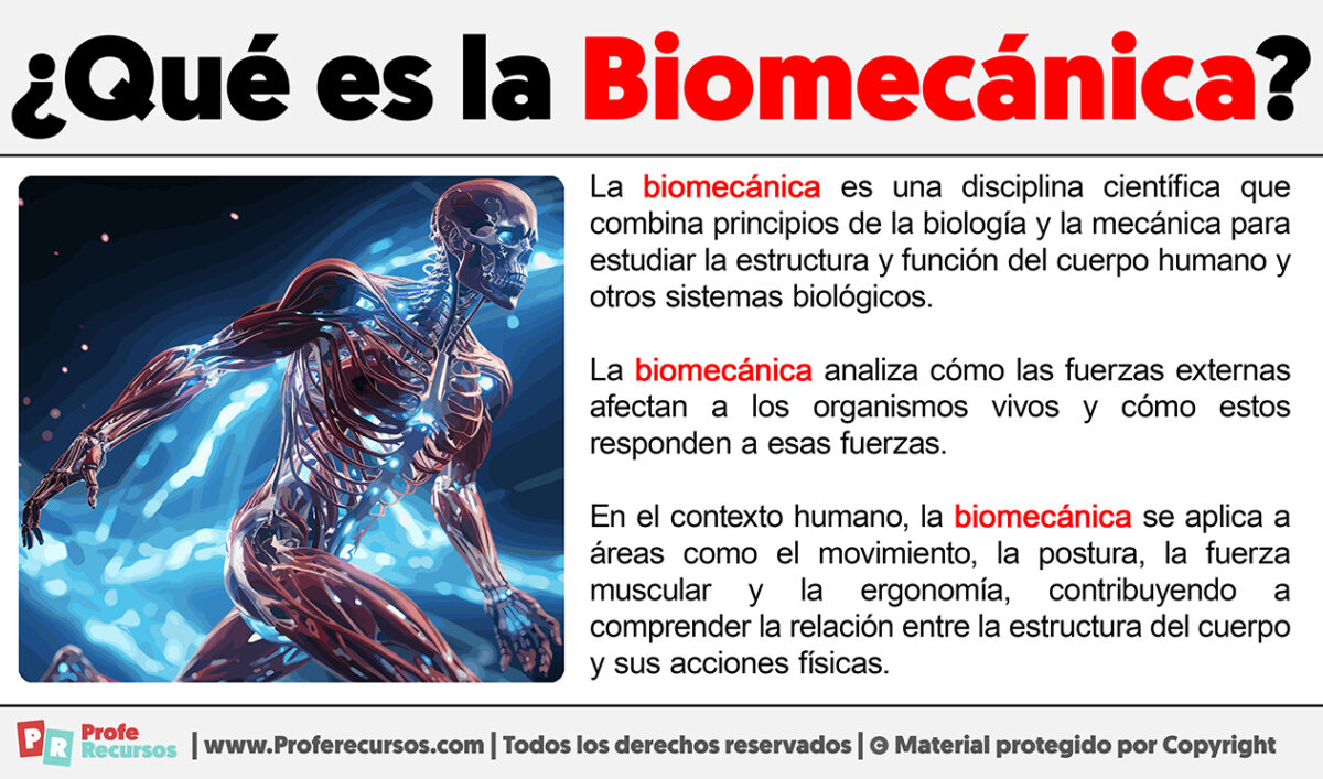 Que es la Biomecanica | Definición de Biomecánica