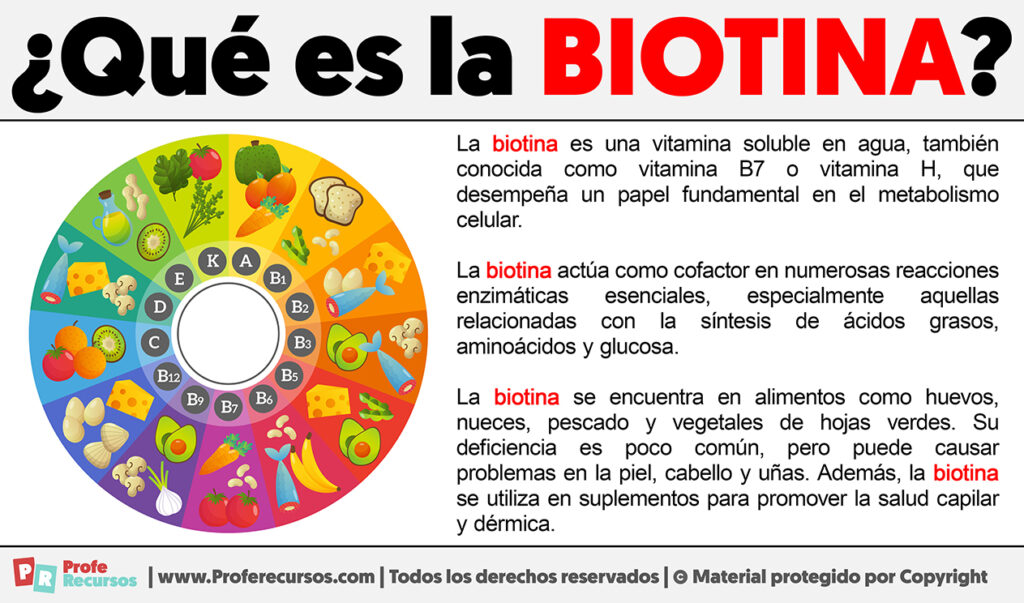 Que es la Biotina | Definición de Biotina