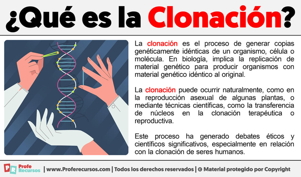Qué es la Clonación | 2 Ejemplos conocidos
